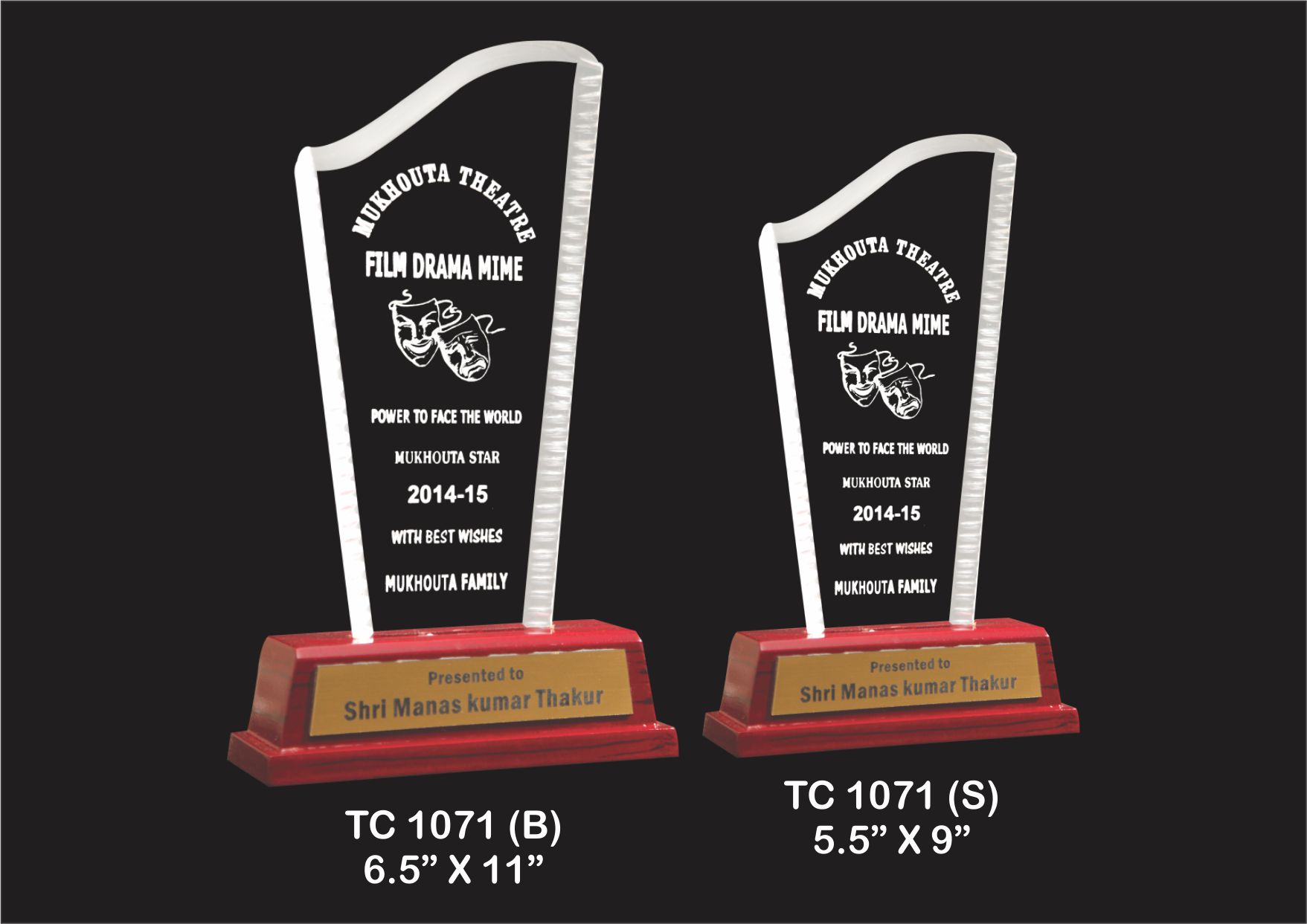 Acrylic Trophy Maker,trophies & Awards manufacturers Shop in Delhi NCR ...