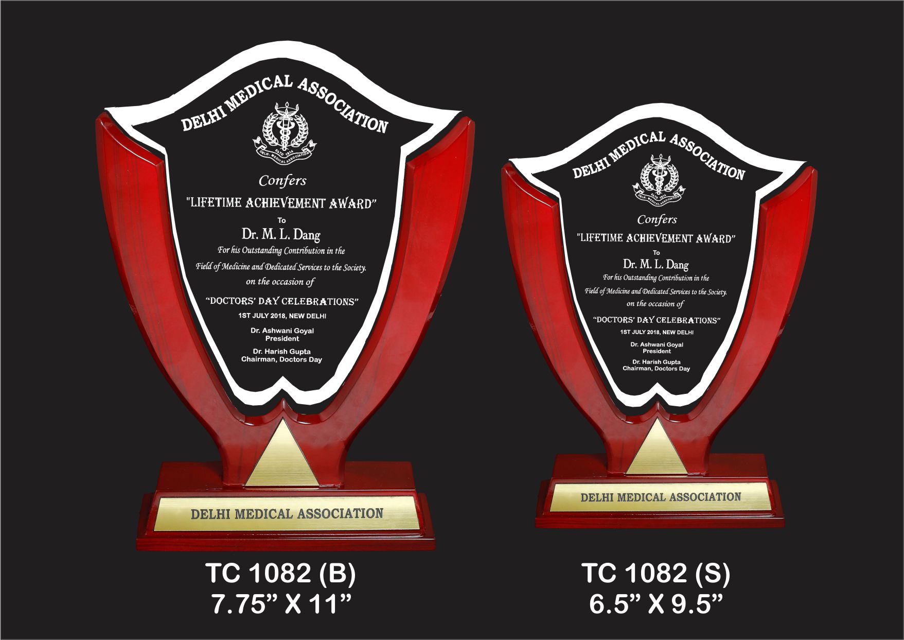 Acrylic Trophy Maker,trophies & Awards manufacturers Shop in Delhi NCR ...