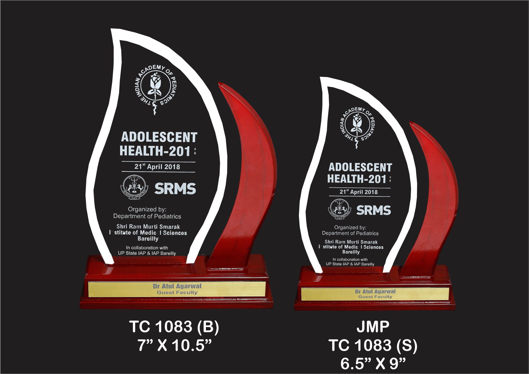 Acrylic Trophy Maker,trophies & Awards manufacturers Shop in Delhi NCR ...