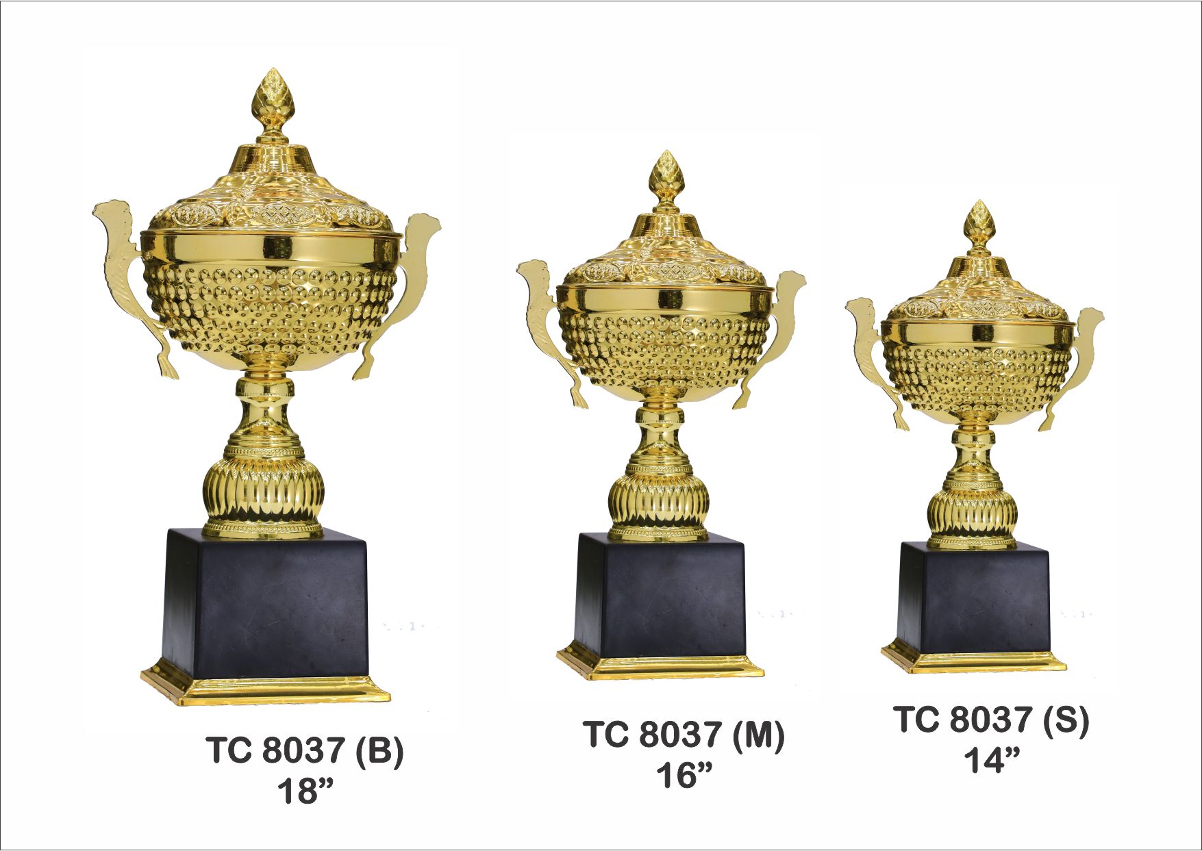 Cup Trophy Manufacturer,Supplier,Distributor & Exporter of sports cups ...
