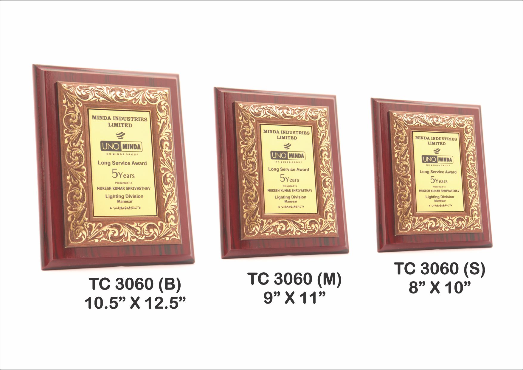 Shop for Plastic Frame Trophies in Delhi,Plastic Frame Trophy ...