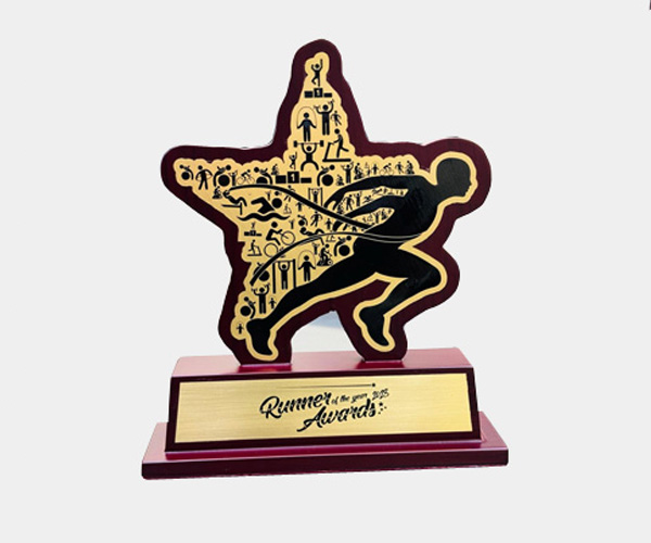 Trophy Maker in Delhi,Trophy shop in Noida,Ghaziabad,Gurugram India for ...